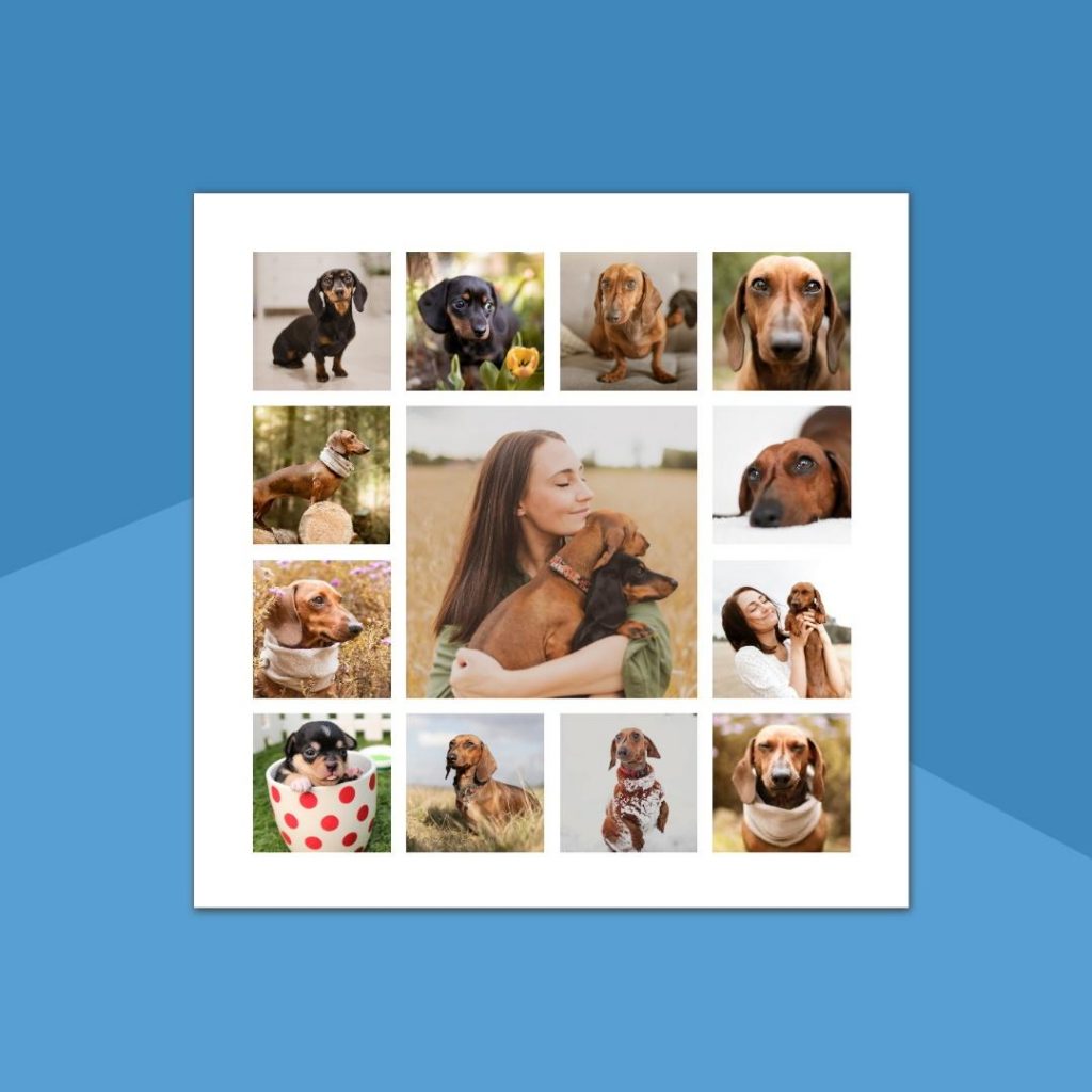 Spring ’22: The ROI of AI – Photobook AI – Visual Intelligence